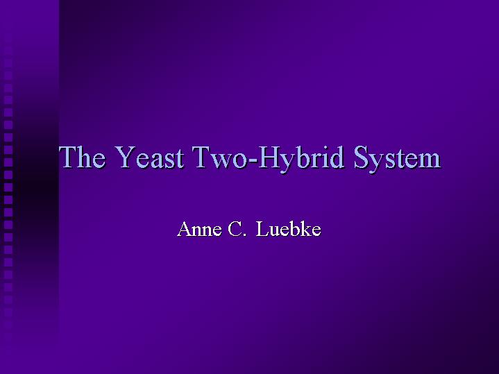 The Yeast Two-Hybrid System