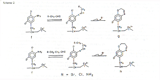 Copper Amine Oxidase