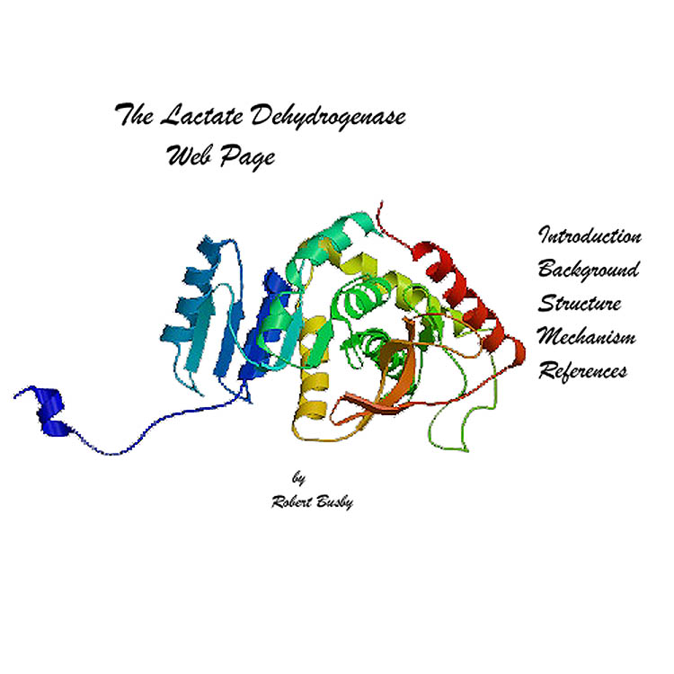 Lactate Dehydrogenase
